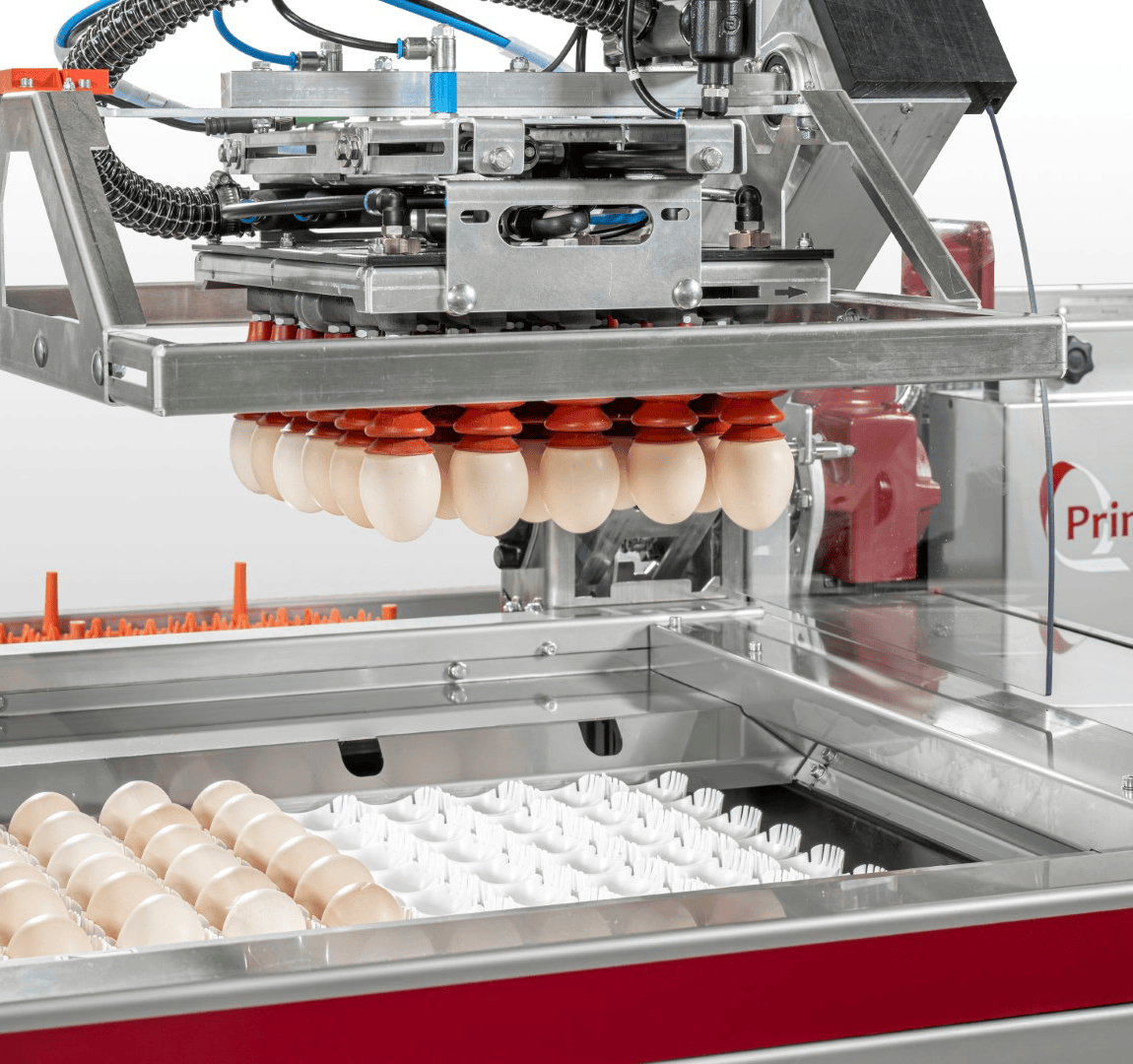 Ovoset Comfort - Vencomatic Group